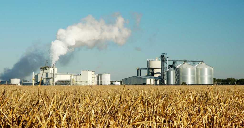 Grain Processor Custom Machine Rebuild - Sloth Electric